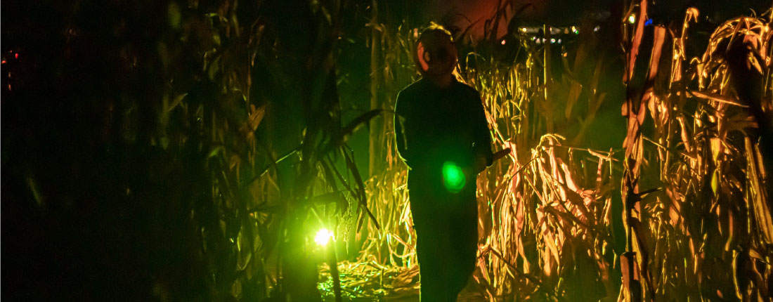 Horror Labyrinth - Niemand ist ohne Angst